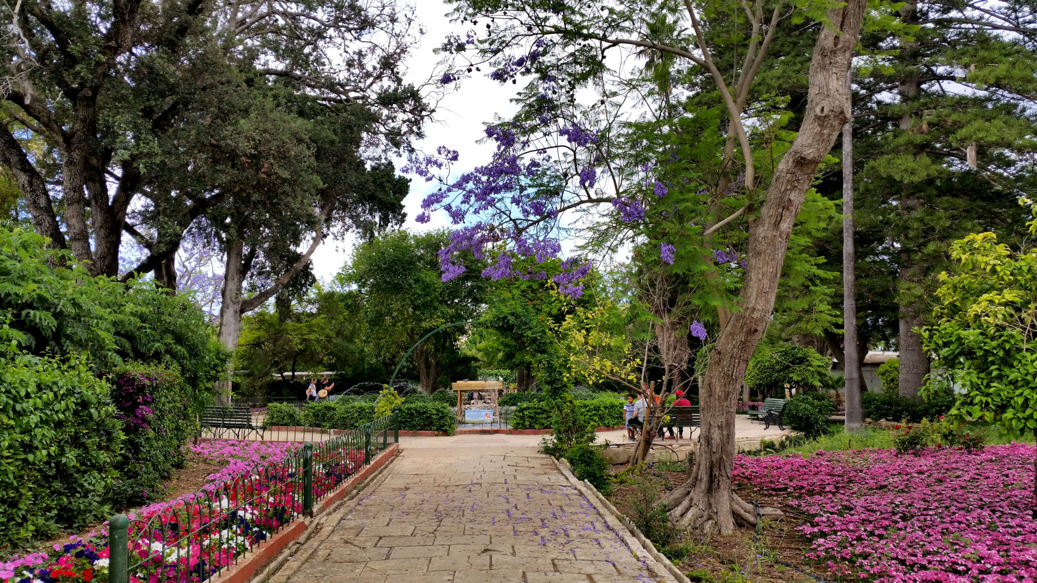 San Anton Gardens in Malta: A Hidden Gem | Your Sunday Guide